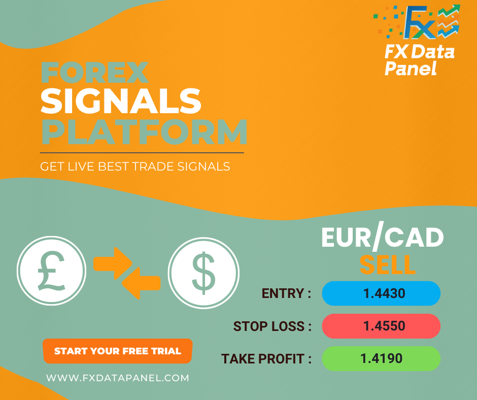 Get The Best Live Forex Signals in 2023 - Sophia Vardon - Medium