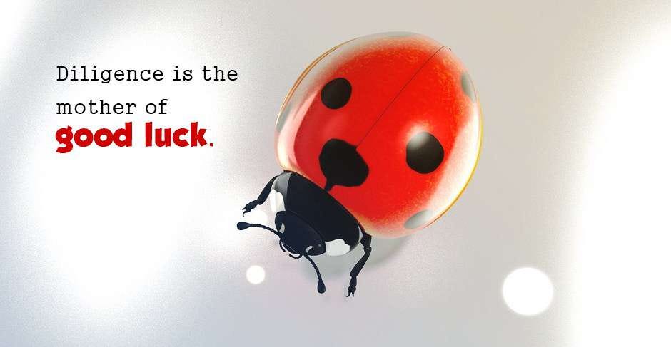 10 Best Good Luck Status With Images | by images pill | Medium