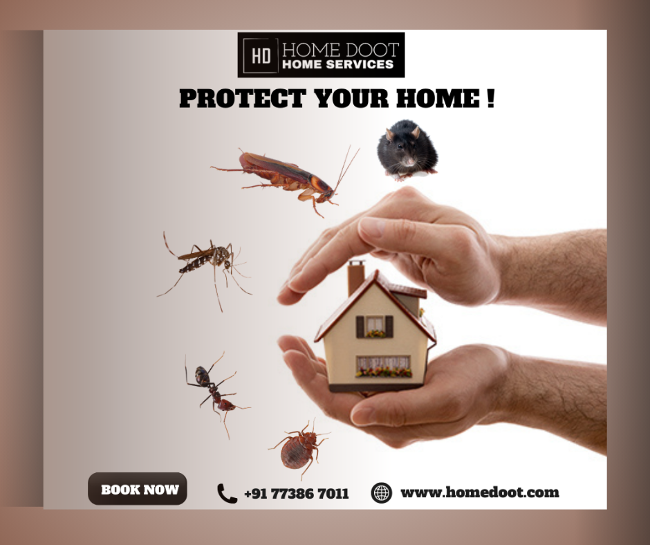 “Homedoot Home Cleaning Services: Your Ultimate Solution for a Pest ...