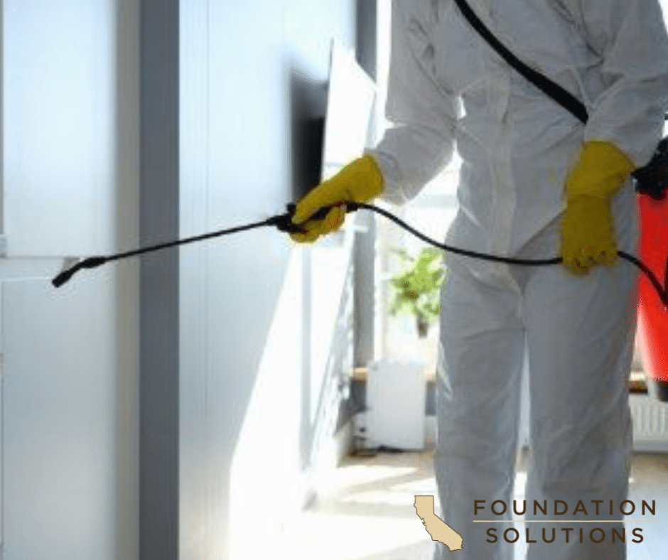 Mastering Mold Removal: A Comprehensive Guide | by Solutionfoundation ...