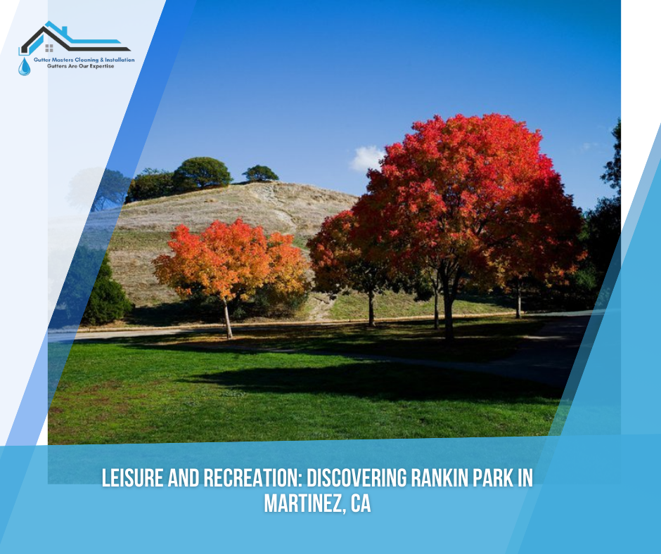 Leisure and Recreation: Discovering Rankin Park in Martinez, CA | by ...