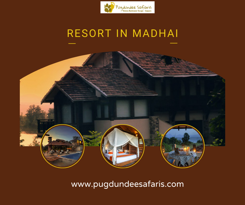 Resort in Madhai - Pugdundee Safaris - Medium