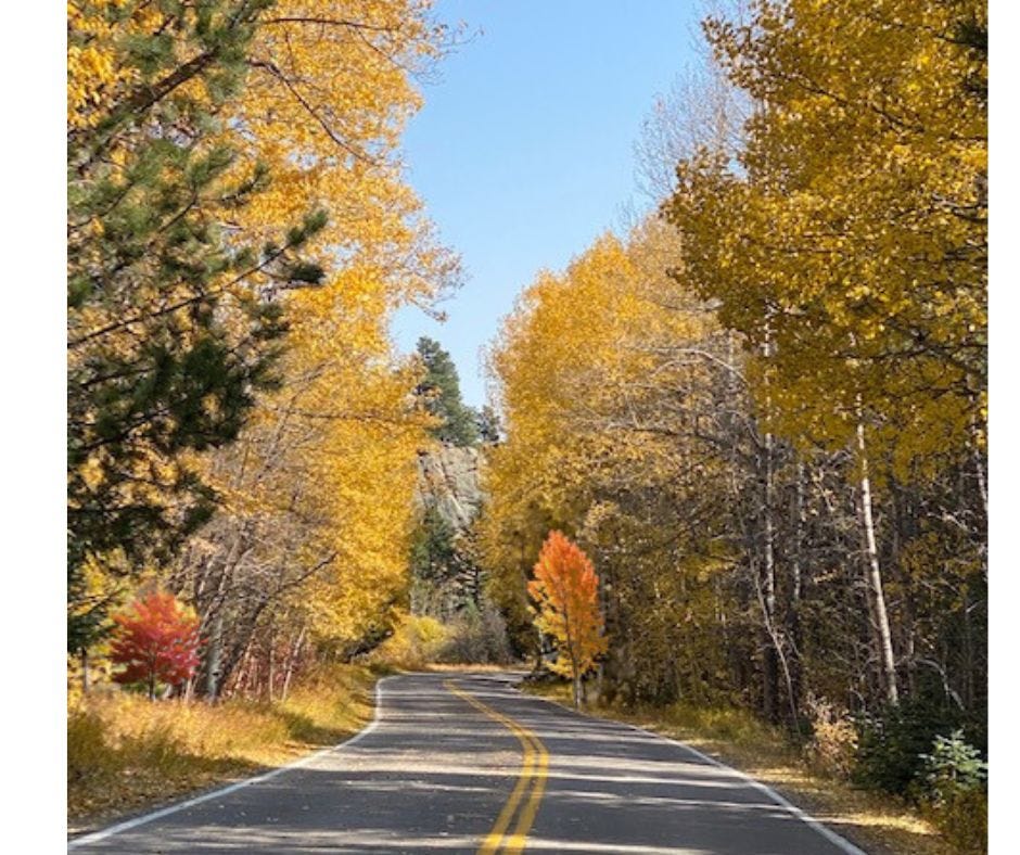 Falling for Fall. The magic of autumn | by Vickie Radovich | The Pub ...