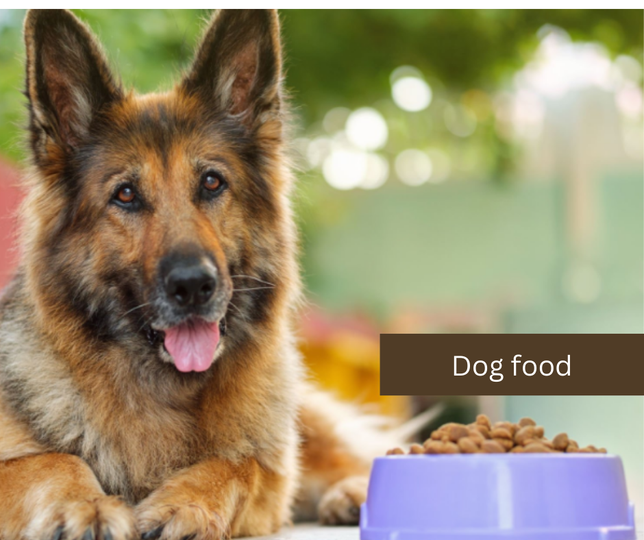 “A Balanced Diet for Your Adult Dog: Key Ingredients for a Healthy ...