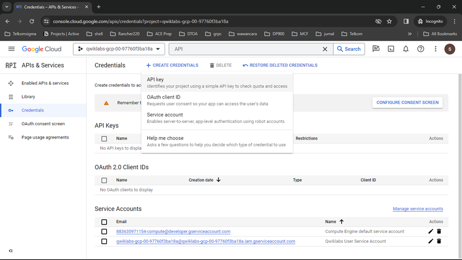 Detect Labels, Faces, and Landmarks in Images with the Cloud Vision API | by Galih Setiadi | Jan ...