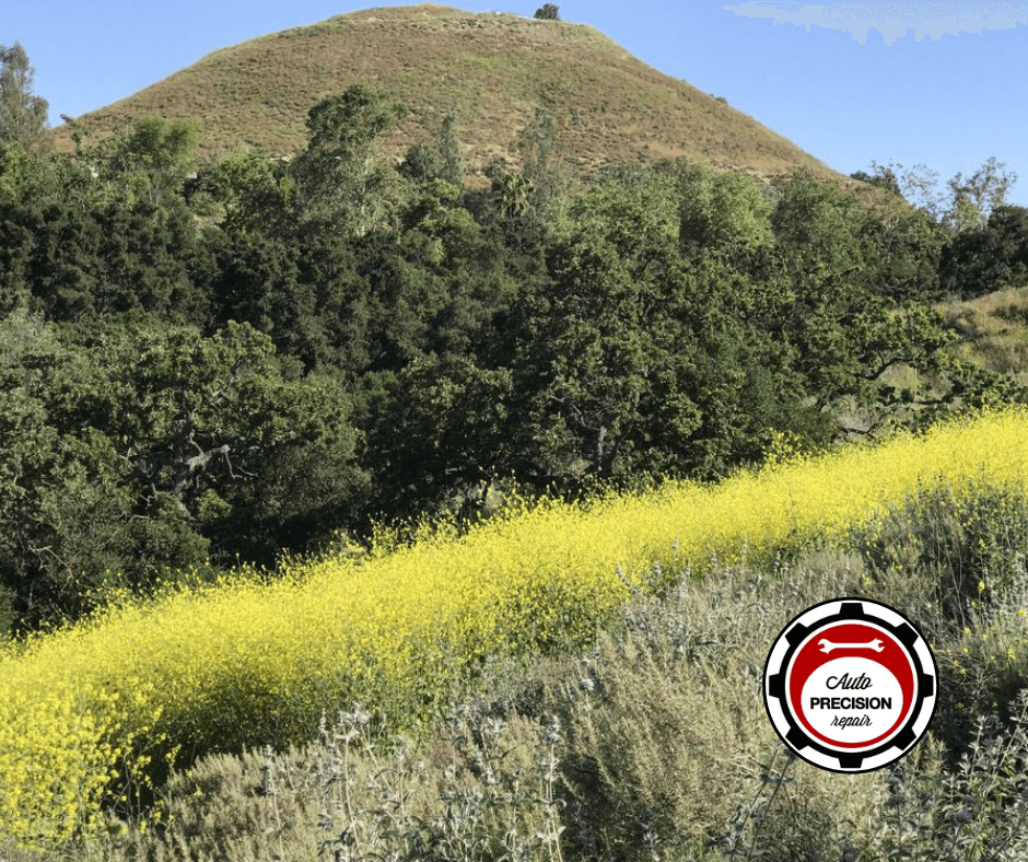 Conejo Valley Botanic Garden. Located in Thousand Oaks, California ...