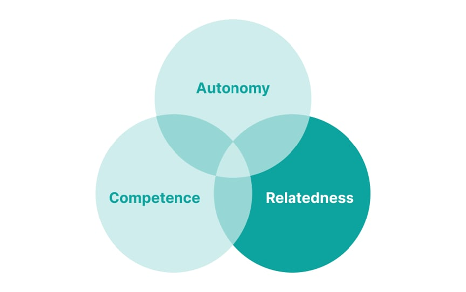 Designing for Motivation How Basic Psychological User Needs Influence ...