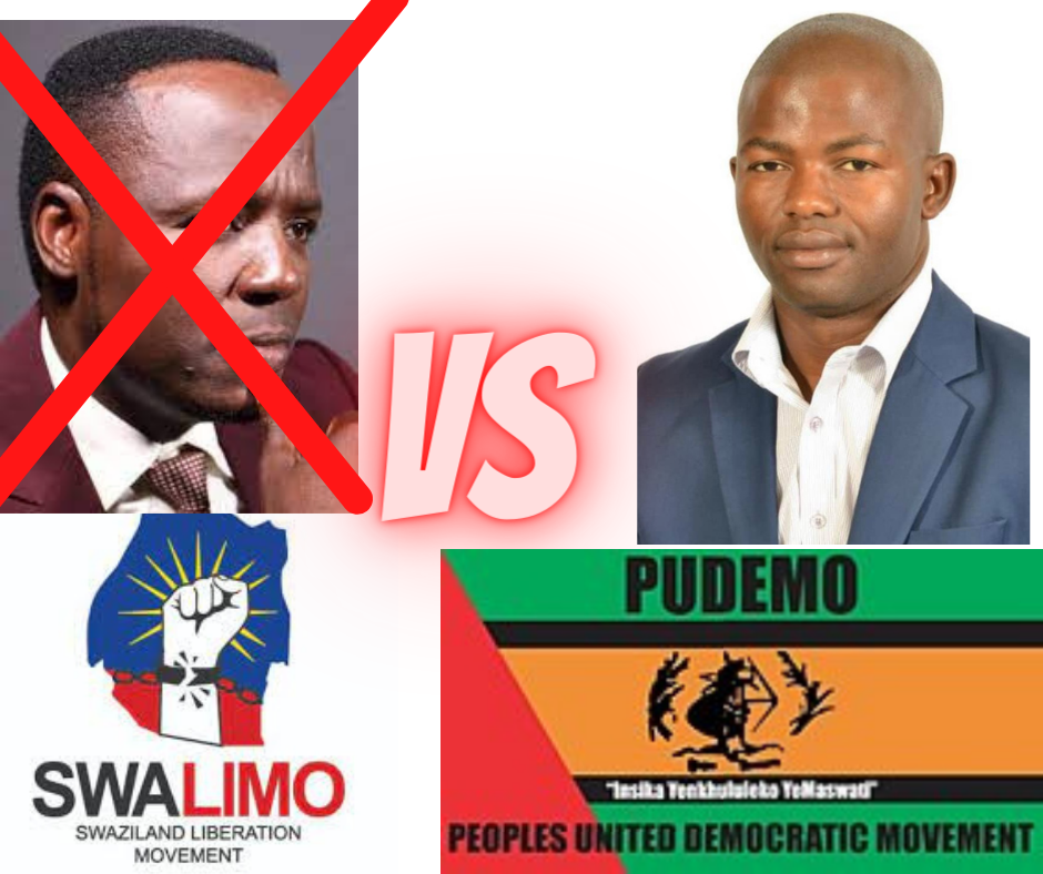 PUDEMO, Zwemart plot to eliminate ex-MP Gawuzela | by Sober Eye ...
