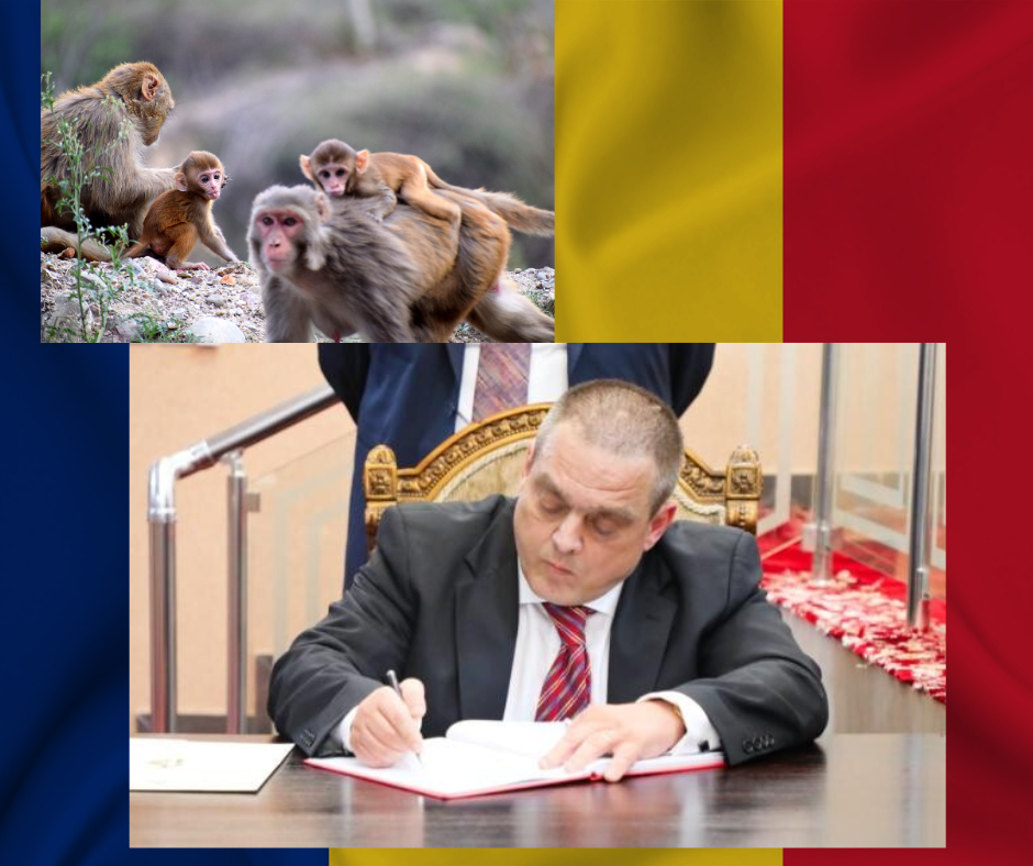 Romanian Ambassador in Kenya Who Called Africans Monkey’s Recalled | by ...