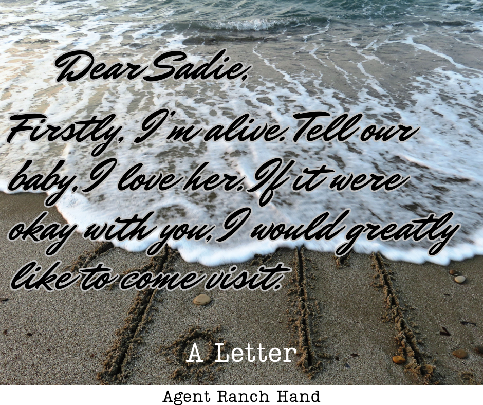 Sadie Letters