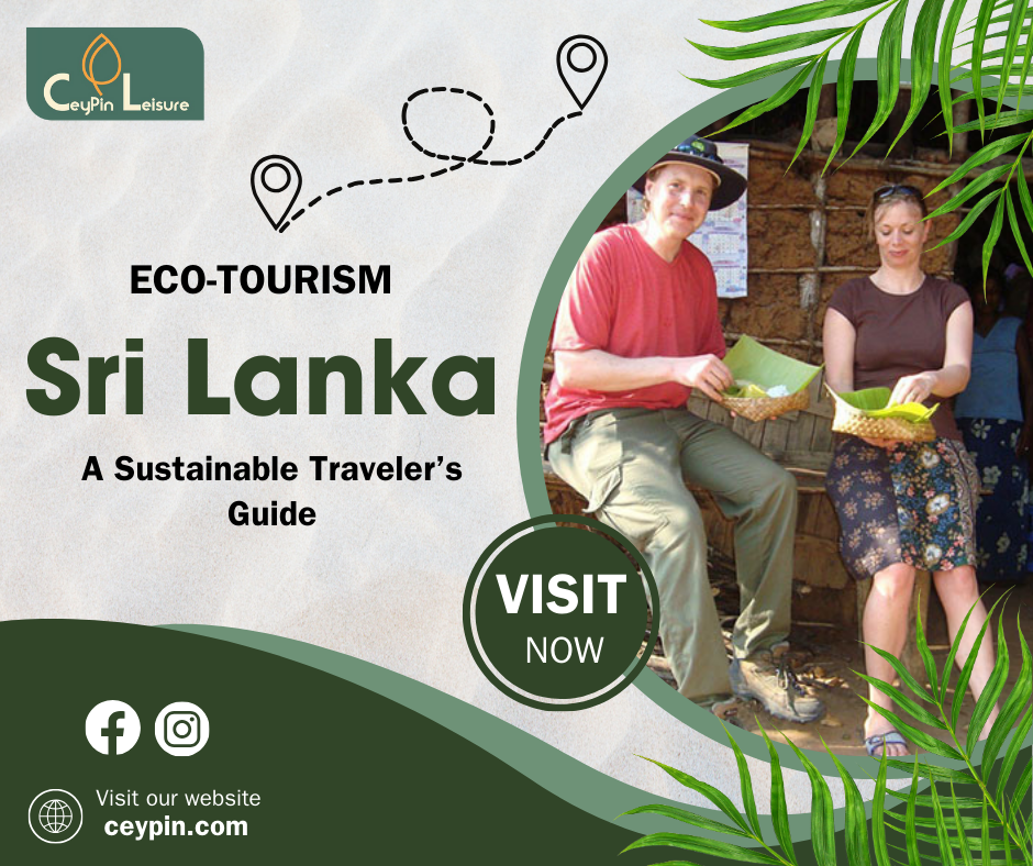 Eco-Tourism in Sri Lanka: A Sustainable Traveler’s Guide | by Ceypin ...