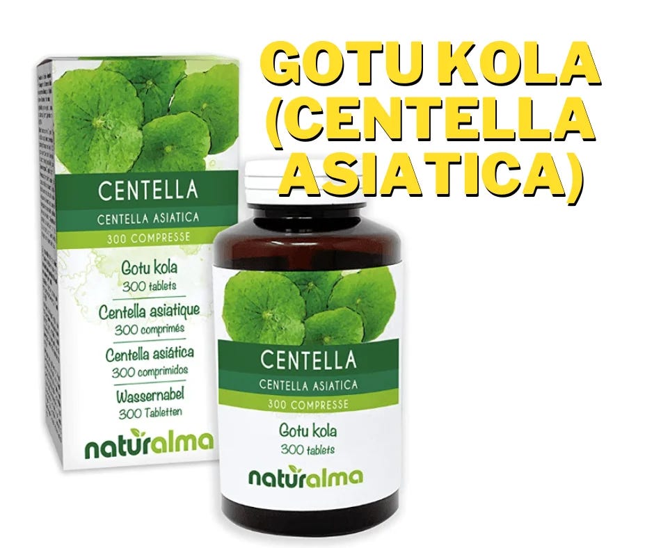 Gotu Kola Centella Asiatica. #nootropi #nootropo #nootropici… | by ...