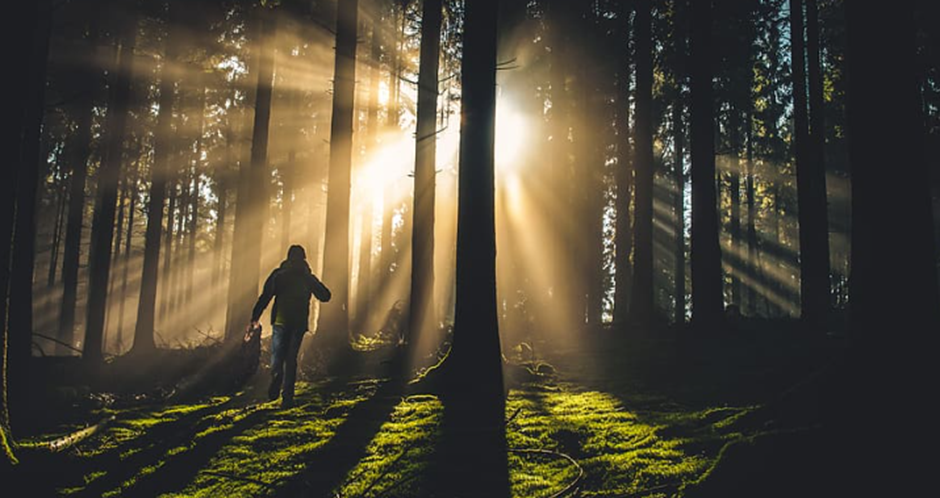 “Is Walking the Ultimate Escape from Identity: Can You Find Freedom in ...