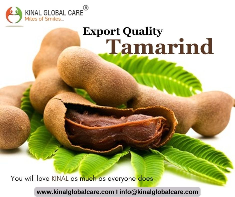Tamarind Suppliers: The Ultimate Guide to Sourcing Quality Tamarind ...