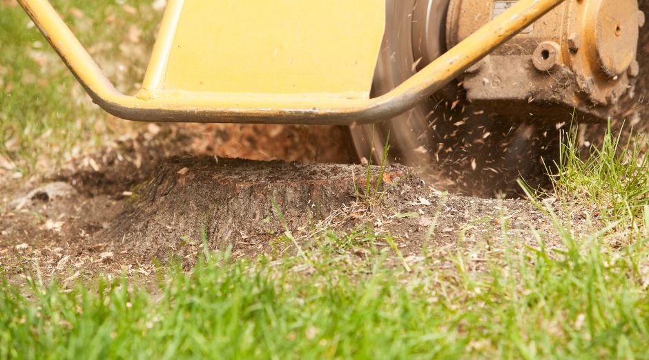 What is Stump Grinding and Why is it Important? | by Orellana Tree ...