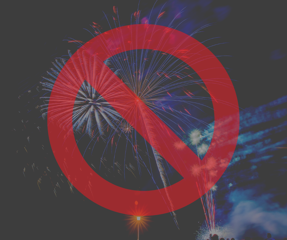 Death to Fireworks. It’s time to knock this SH*T off. | by Julie Allen ...