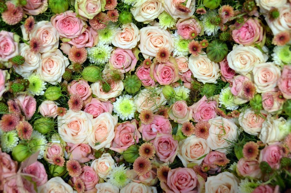 favorite green flowers. All colors come in a variety of shades… | by ...