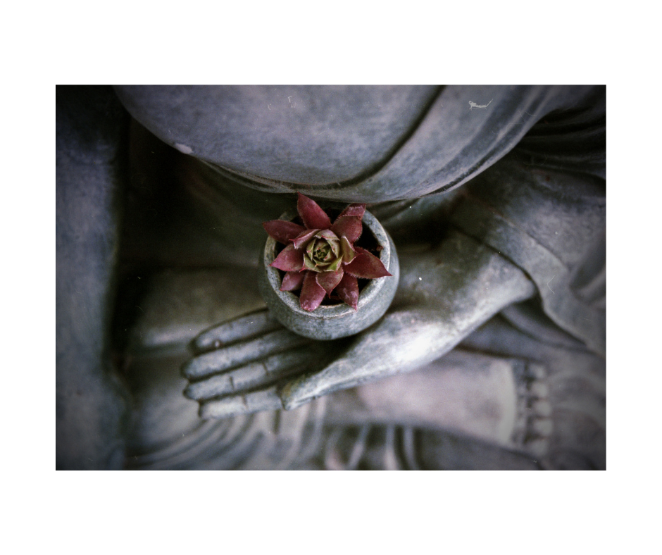 The Gift of Connection. Being grateful is the ultimate… | by Petra Sami ...