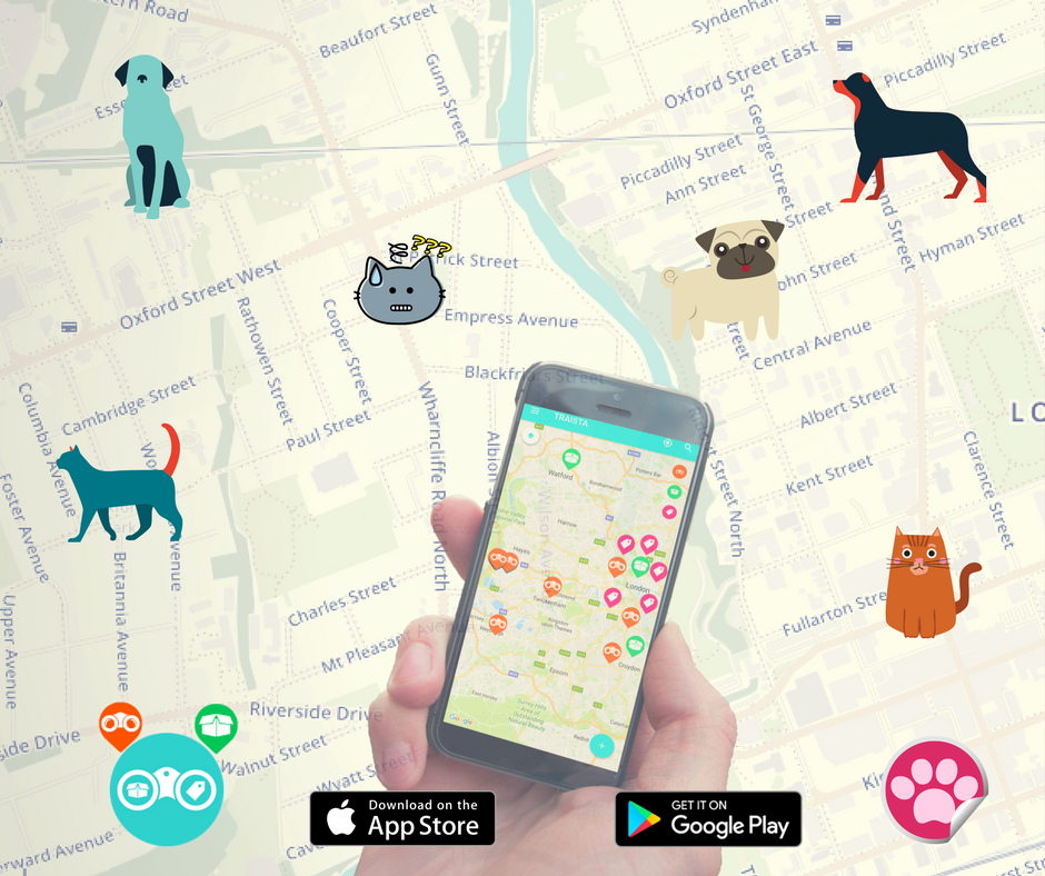 Traista —Best Lost and Found App For Pets -Will Make Life Easier | by ...