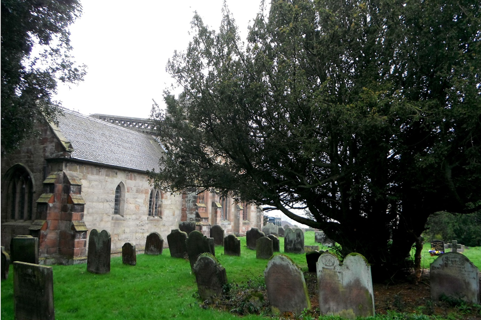 Why I am a Pagan… and Why I’m Not | by Matt Pointon | Medium