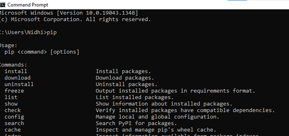 An overview to Pip — Part 1. Synopsis — | by Nidhi Jakhad | Medium