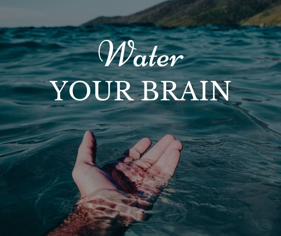 Water Your Brain. Water, alongside oxygen and food, is… | by The Art of ...