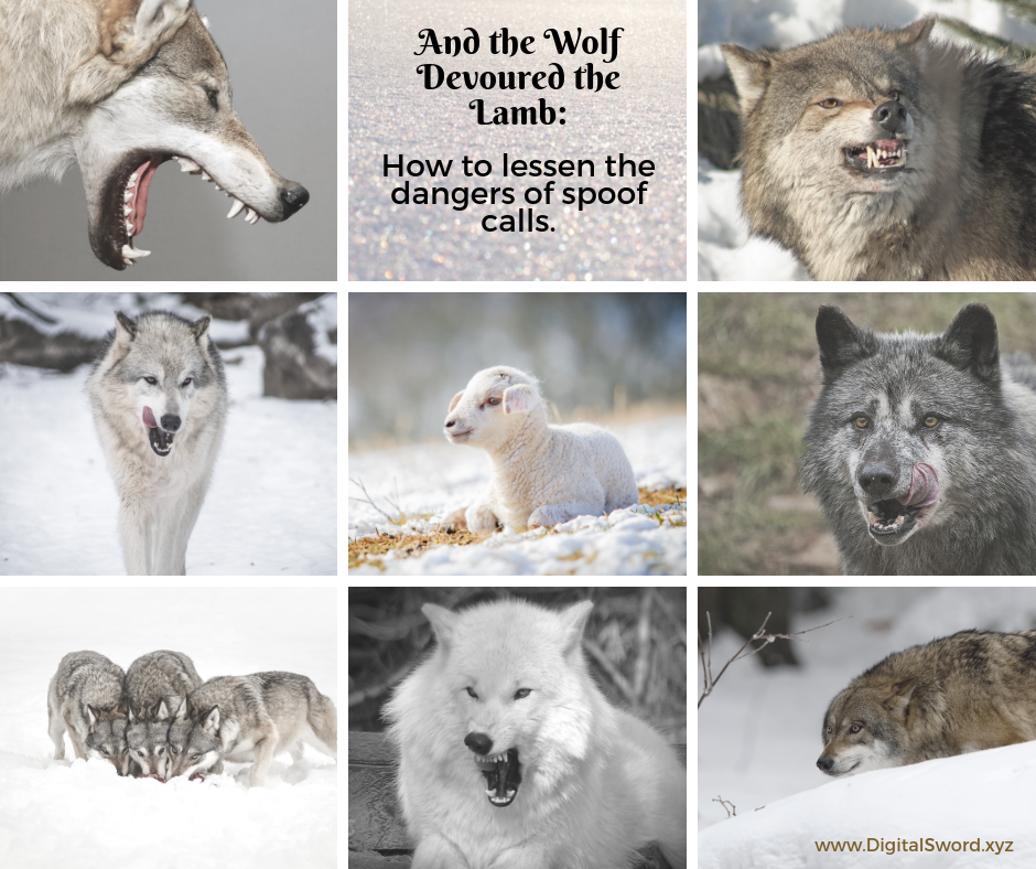 And the Wolf Devoured the Lamb: How to lessen the dangers of spoof ...