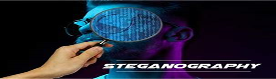 Steganography. The practice of hiding or concealing… | by Ganesan R ...