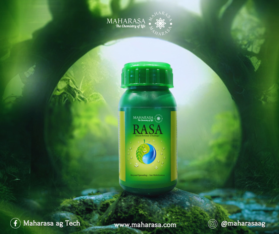 🌿 Introducing Rasa Silicon-Powered Nano Hydrogel! 🌱 - Maharasa - Medium