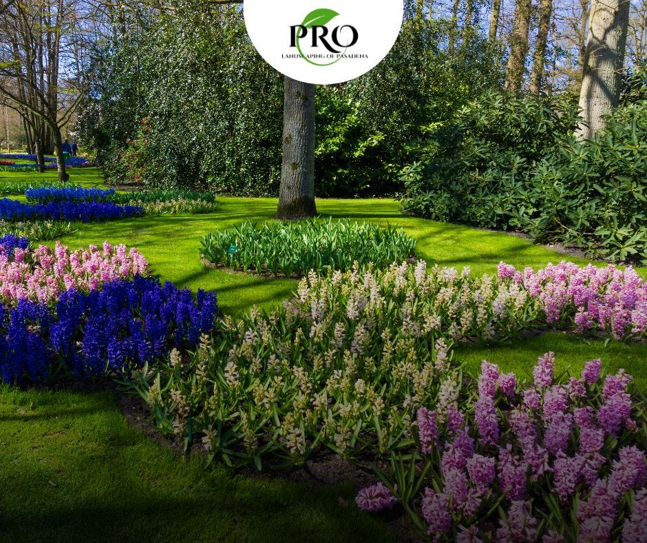 Selecting a Trusted Landscaping Company: Ensuring Quality and Serenity ...