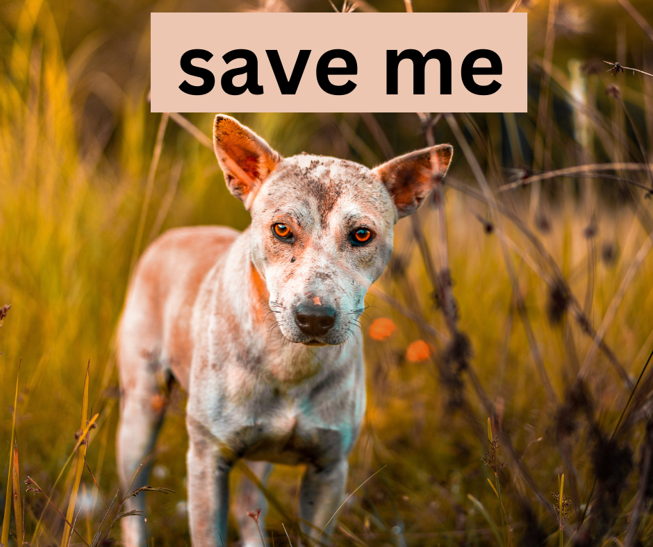 your one minute will save many lives - lexa - Medium