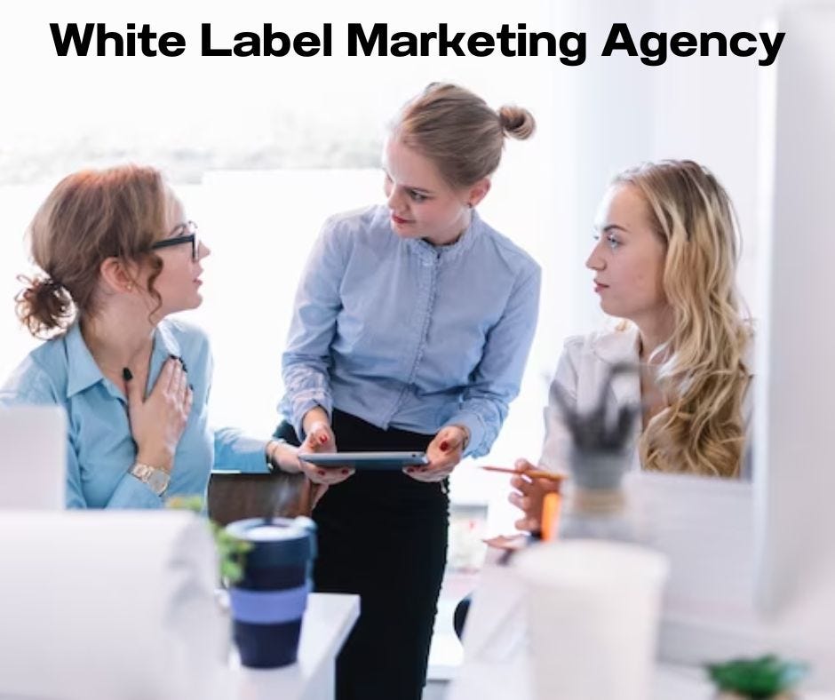 Choosing a White Label Marketing Agency: What to Look for | by ...