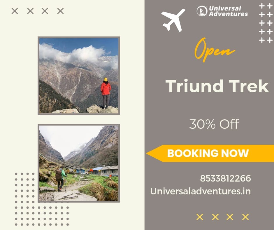 Triund Trek: Discover the Enchantment of This Scenic Journey | by Alok ...