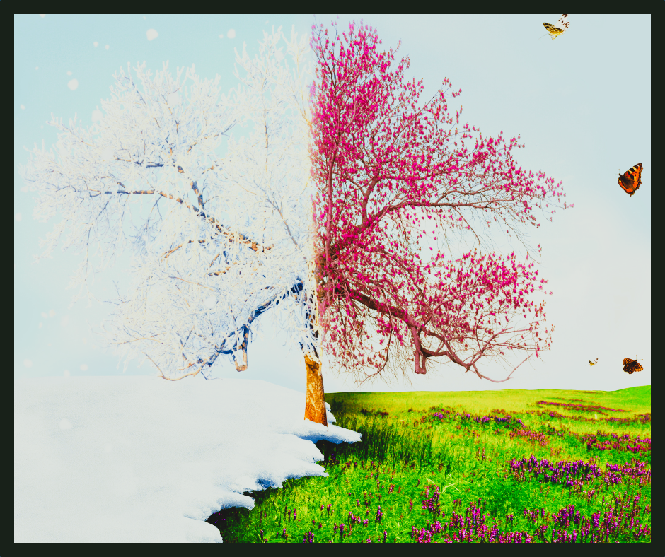 A Farewell to Winter: Embracing Spring’s Warmth | by Joellyn Rose ...