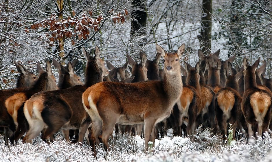 The Many Faces of Winter. A quant-dive into Asia’s funding… | by Nikhil ...