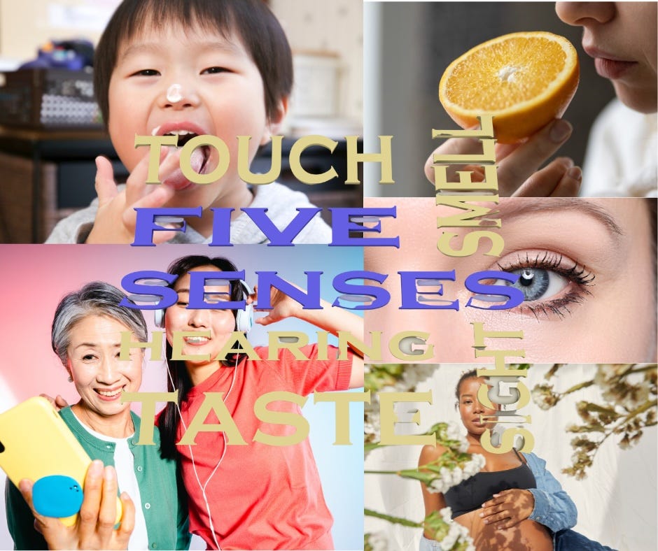What If You Lost All Five of Your Senses? | by Michael Rhodes | the ...