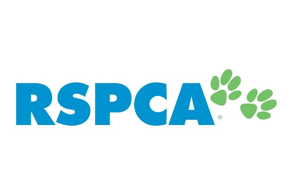 RSPCA Design Concepts. Introduction | by Kelliane Ng | Medium