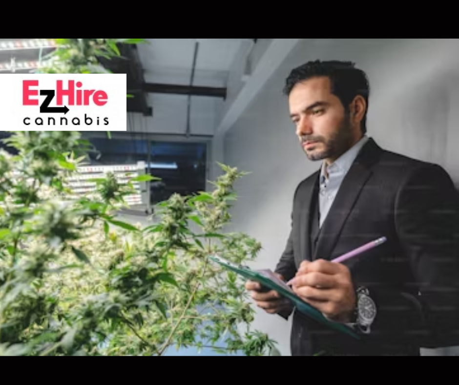 How to Secure Your First Job in the Cannabis Industry | by EzHire ...