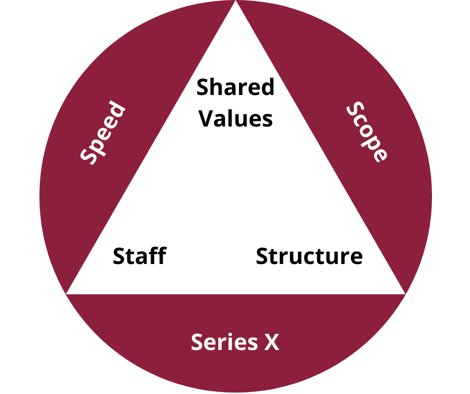 The Six S Framework. Three factors of internal maturity that… | by ...
