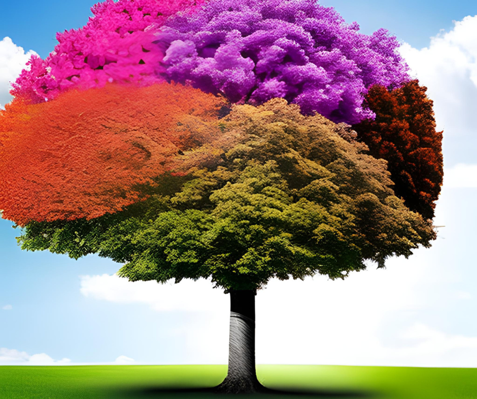 The tree as a symbol in movies and storytelling | by Jeannine M. | Medium