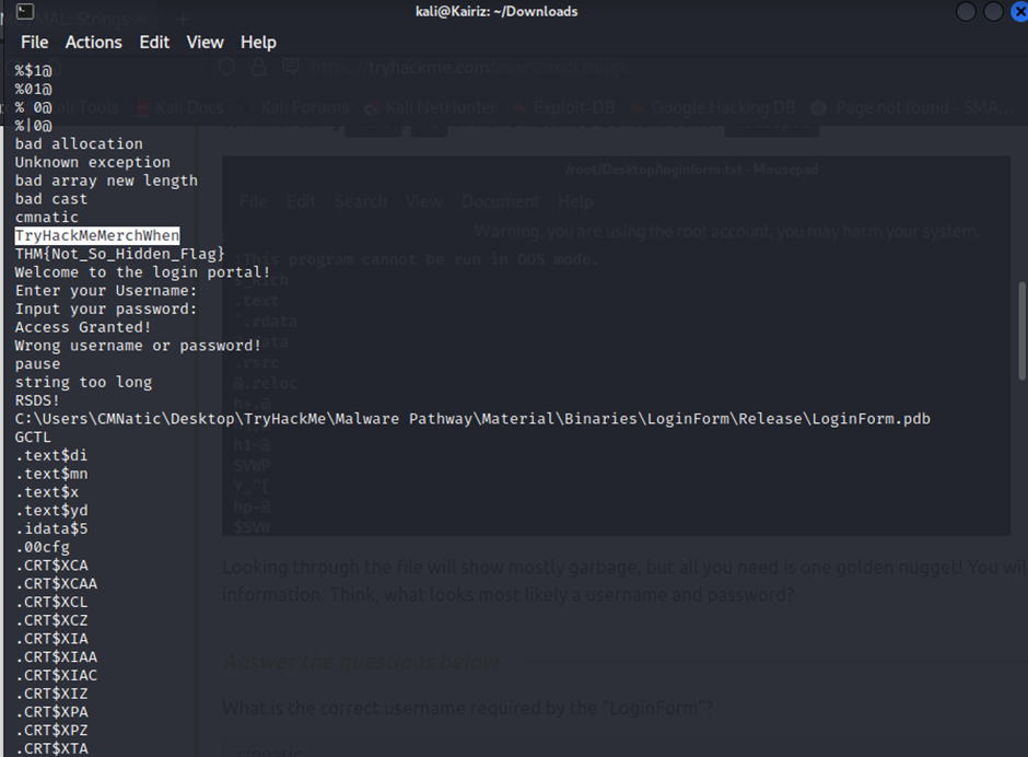 Mal:String-Thm-Write Up. Mal:Strings | by Kairiz | Medium