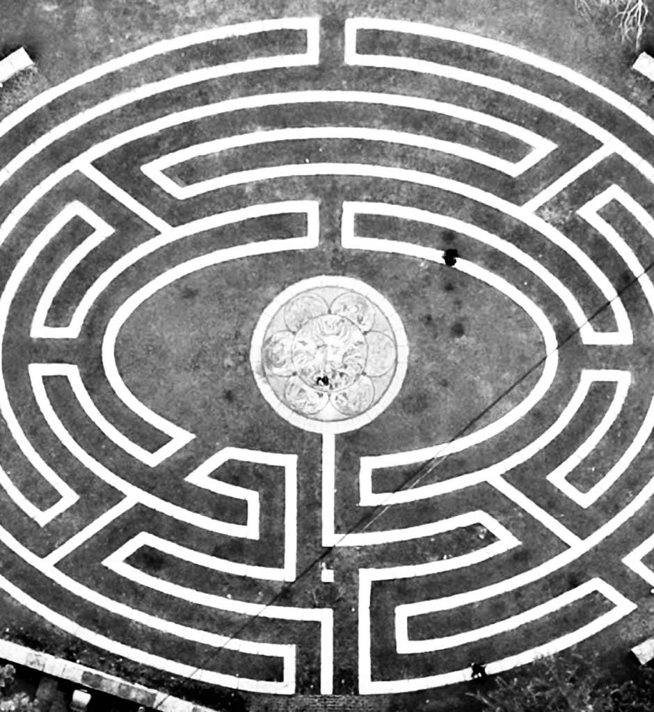 Gray Matter Matters: The Gray Scale Solution to the Free Will vs ...
