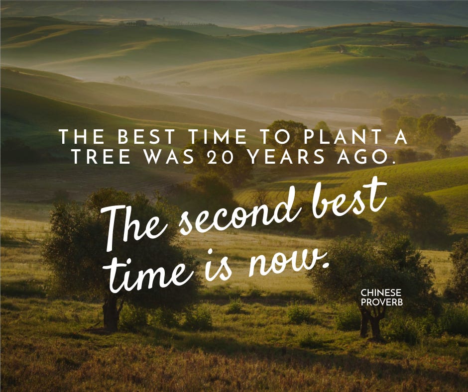 What We Can Learn From Planting Trees | by Brenda H. | The Shortform ...