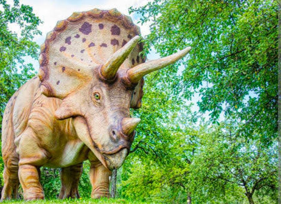 Some Known Species Of Dinosaur.. Danacor | by Raima12 | Nov, 2024 | Medium
