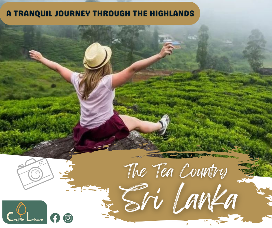 Sri Lanka’s Tea Country: A Tranquil Journey Through the Highlands | by ...