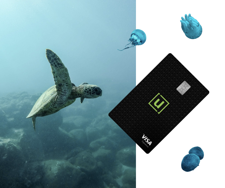 Our Visa Card Will Be Made From Ocean-Bound Plastic. Here’s Why. | by ...