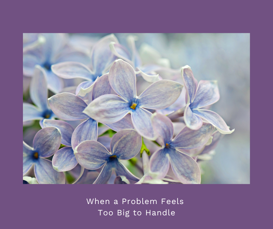 When a Problem feels too Big to Handle | by Liesel Teversham, HSP ...