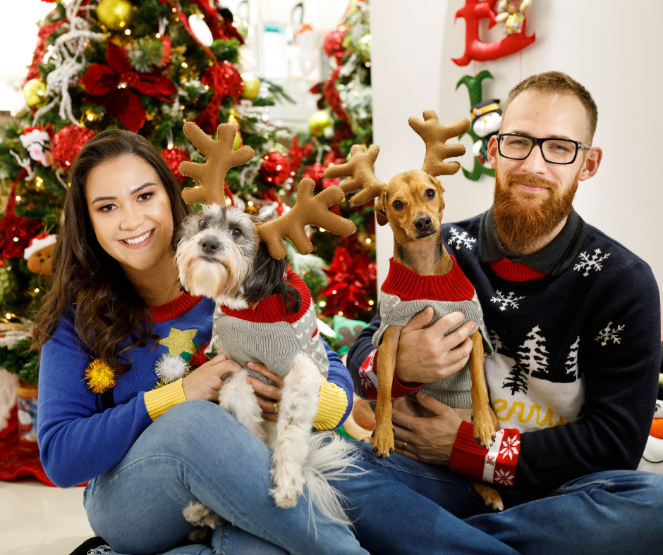 Avoiding Pet Emergencies Over the Holidays | by Shelley Wenger | Pet ...