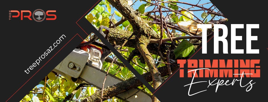 Top 5 Benefits of Hiring Tree Trimming Experts for Your Property | by ...