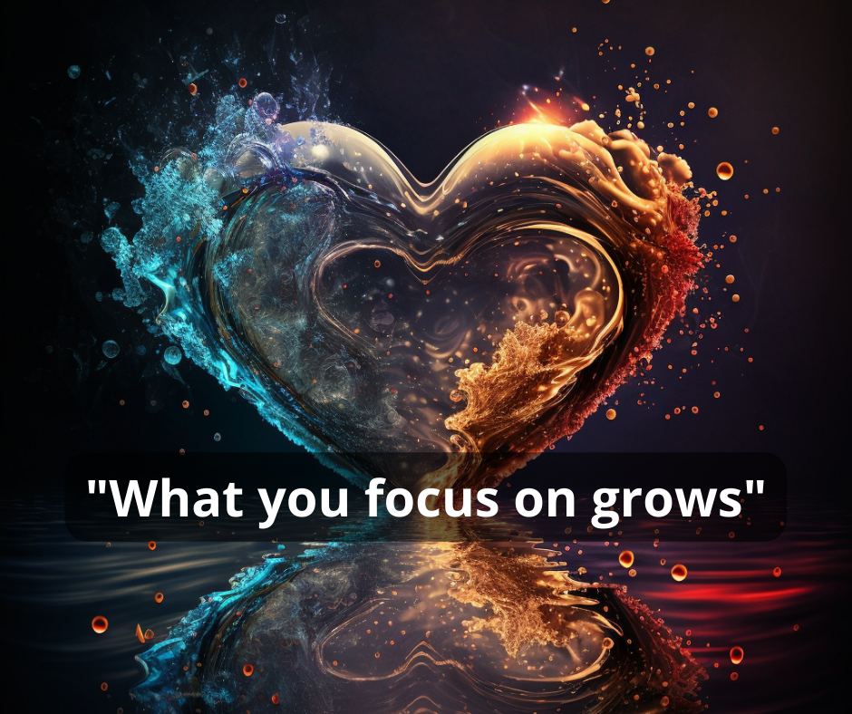 “What you focus on grows.”. I often marvel at the wonders of the… | by ...